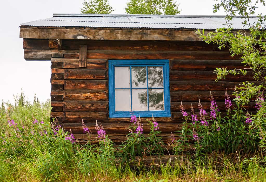 How To Build A Log Cabin – Build vs Buy