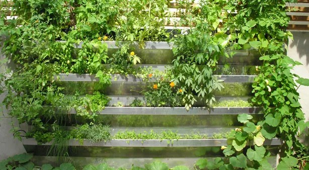 Vegetable Garden Ideas to Maximise Your Growing Space