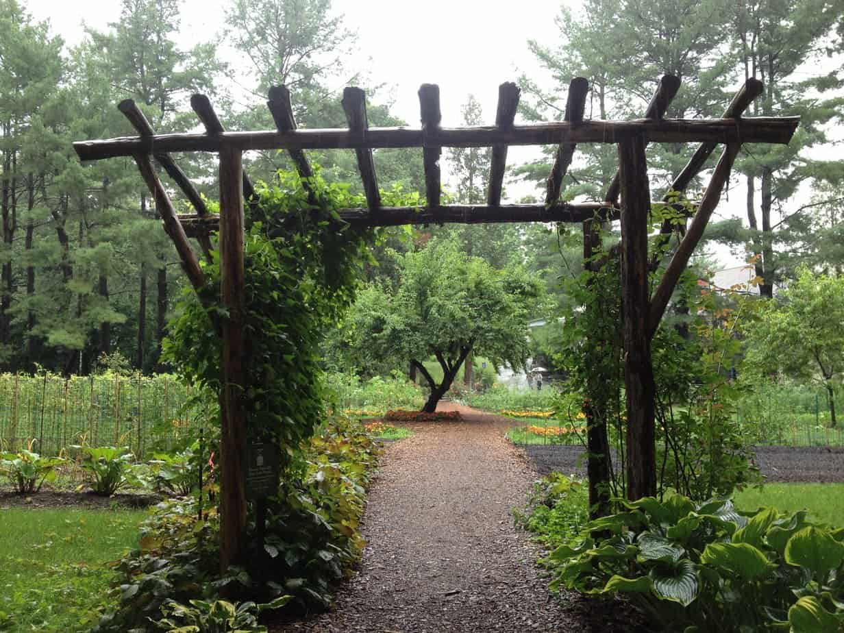 Garden Arch Ideas for an Enchanting Entrance (With Pics)