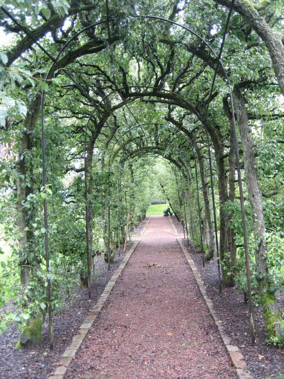 Garden Arch Ideas for an Enchanting Entrance (With Pics)