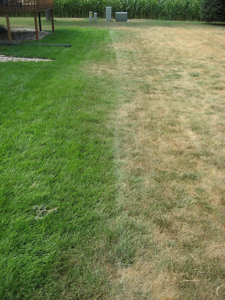 Lawn Care Ideas for a Healthier Landscape