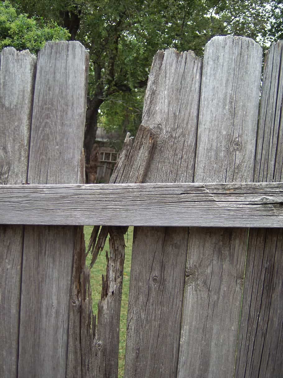 Why You Shouldn’t Delay Garden Fence Repair - GBD Blog