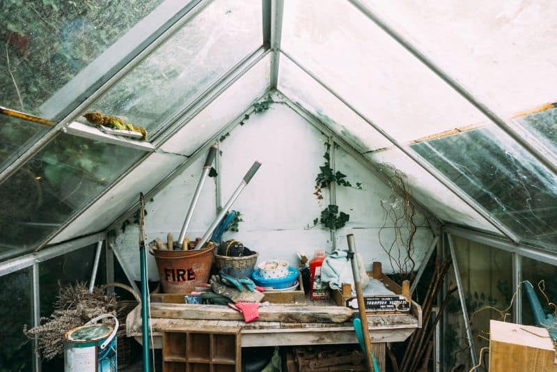 Allotment Shed Ideas: Things to Consider